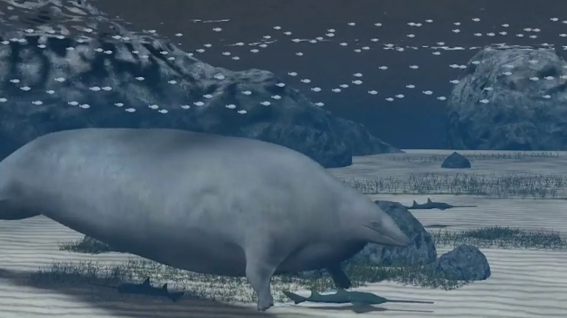 Vídeo: Descubren un nuevo animal gigante que destrona a la ballena azul