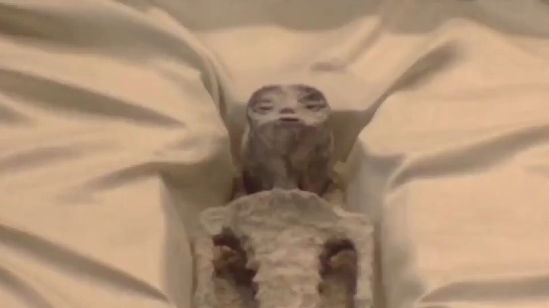 Los expertos de 'Horizonte' explican el "fraude" de las momias ...