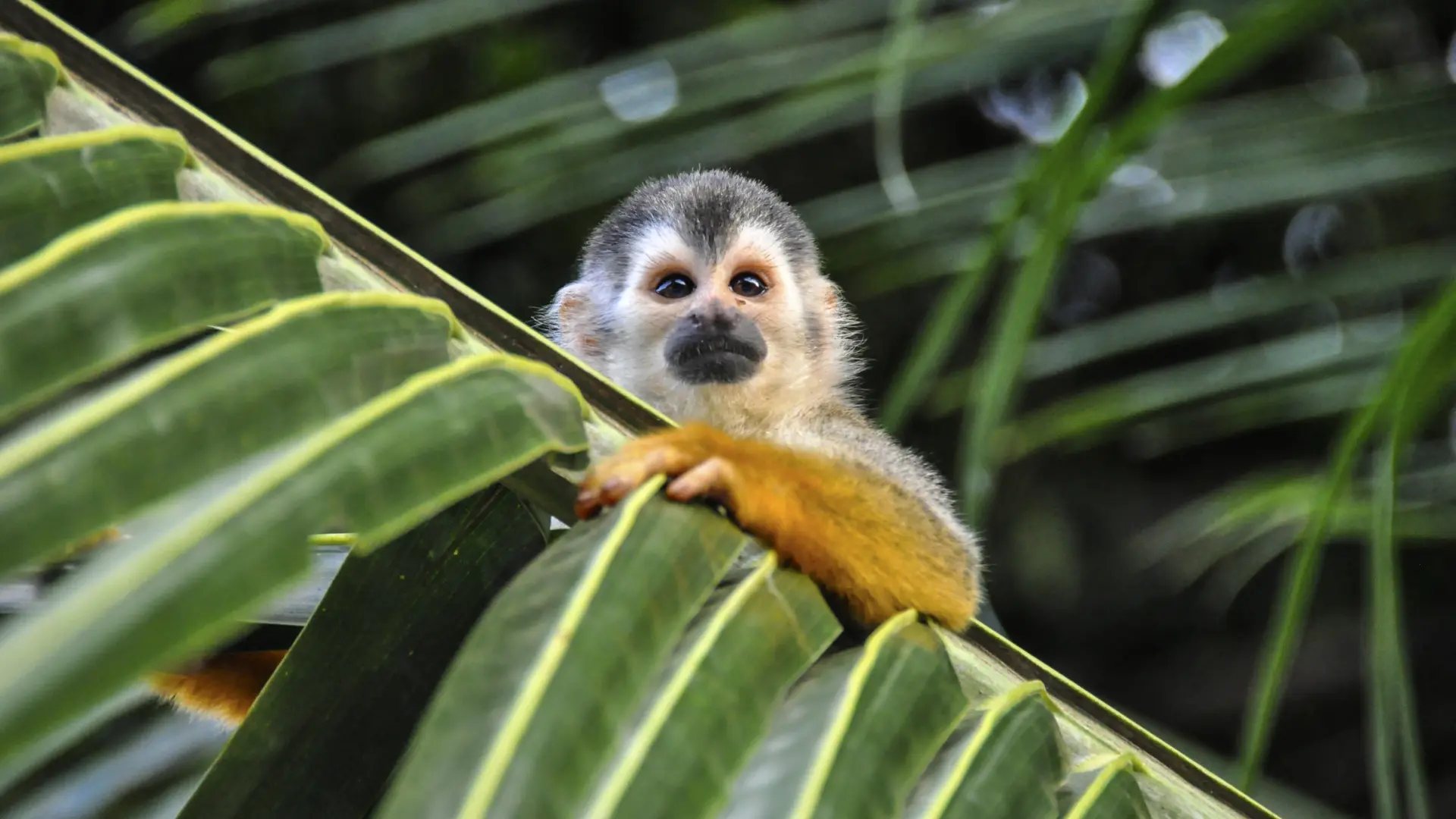 Cuatro destinos de Costa Rica para escapar en invierno a los paraísos ...