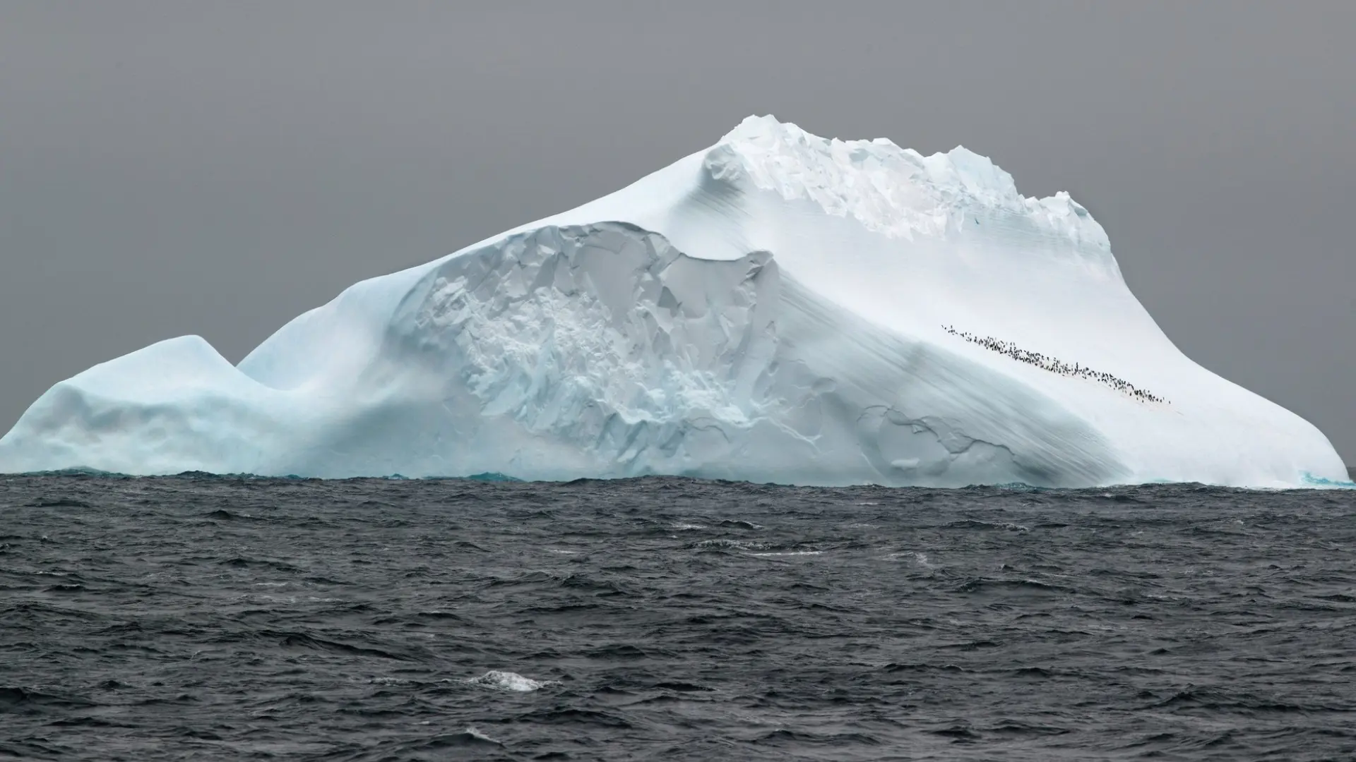 El periplo del iceberg más grande del mundo: su desplazamiento se ...