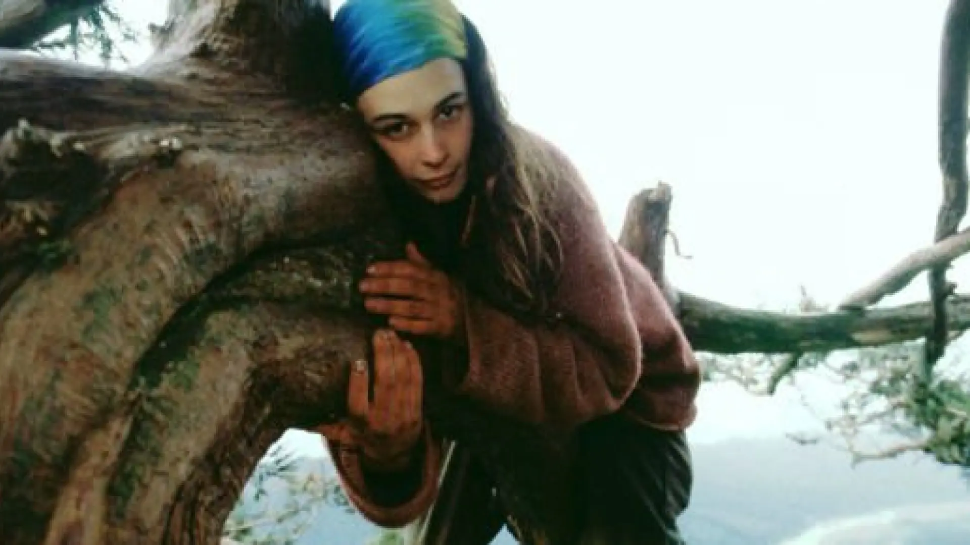 Así es la historia de Julia Hill, la activista que estuvo 738 días en la cima de un árbol para ...