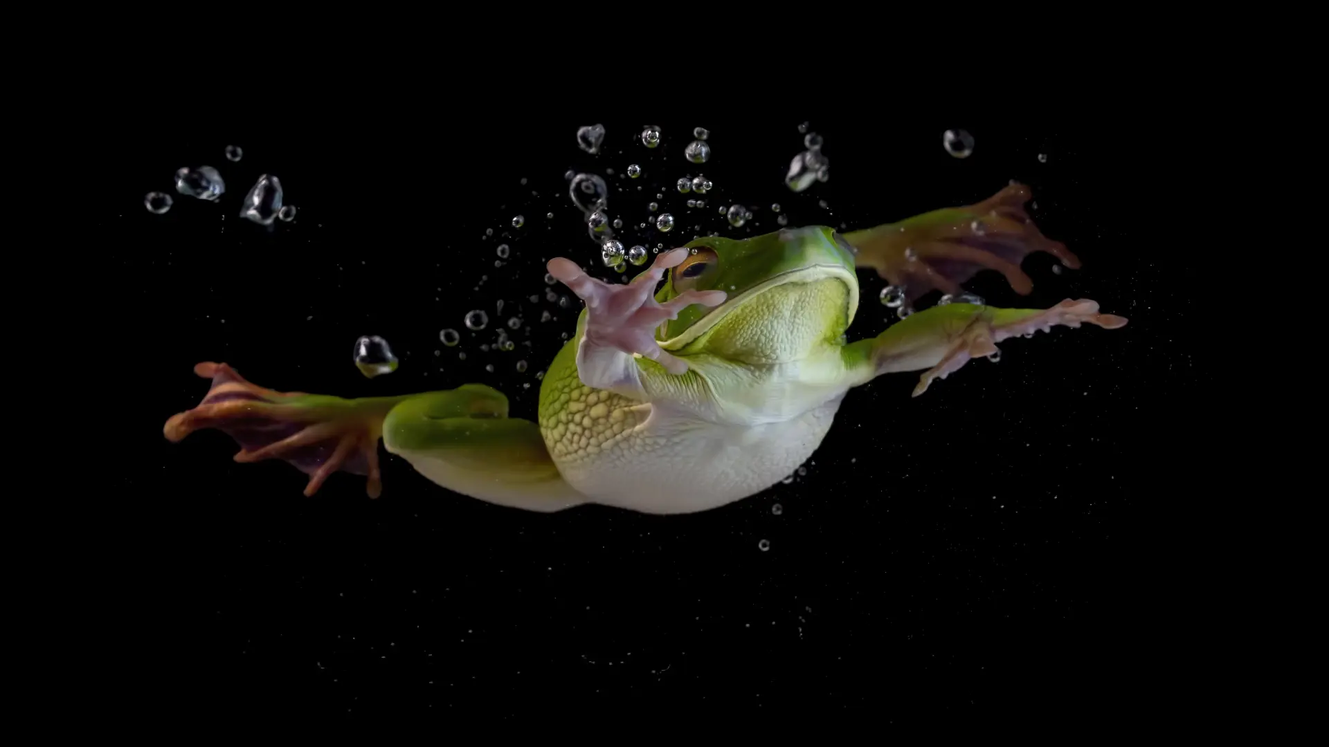 Qué es el síndrome de la rana hervida y cómo identificar las señales de ...