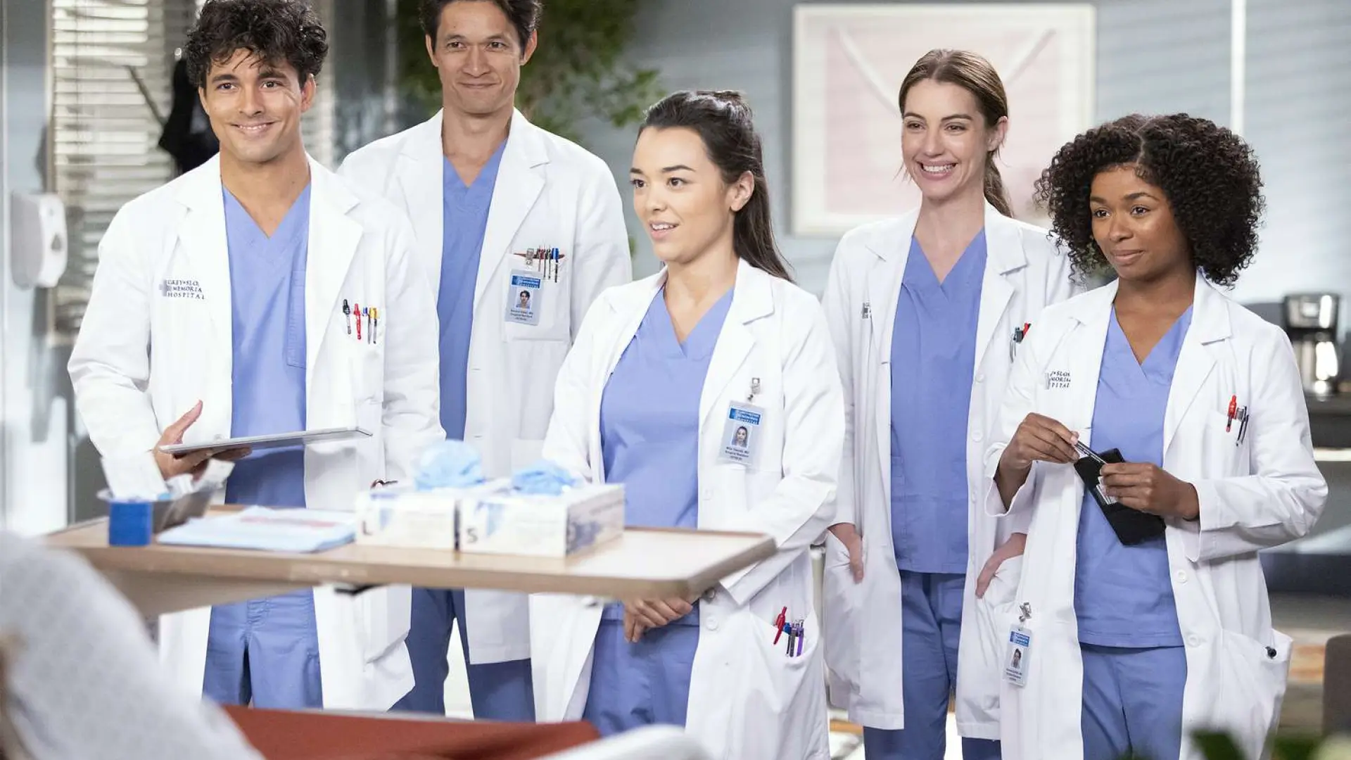 Abc Anatomía De Gray Anatomía De Grey' Tendrá Temporada 20: La