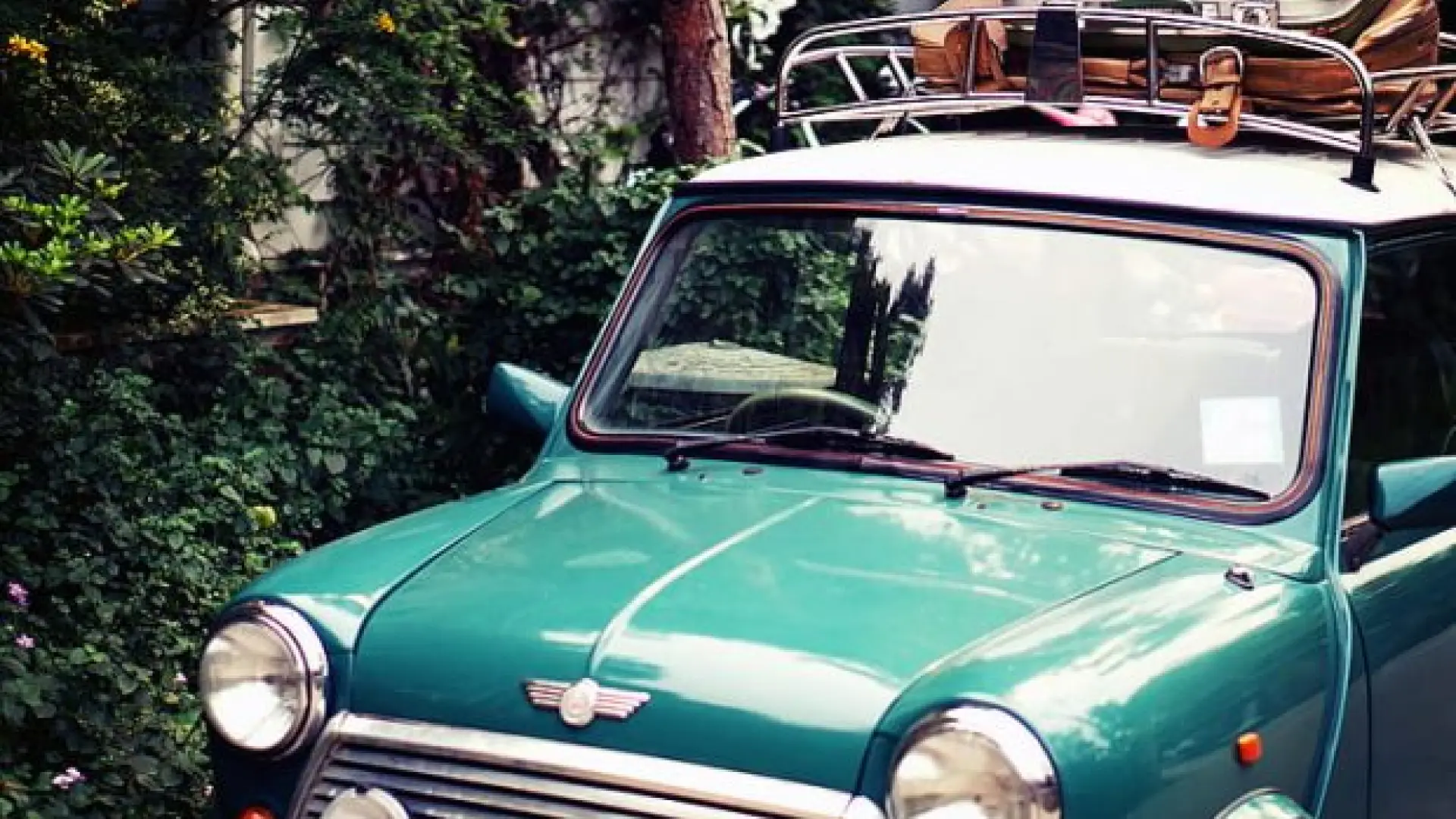 ¿De dónde proviene el término ‘baca’?