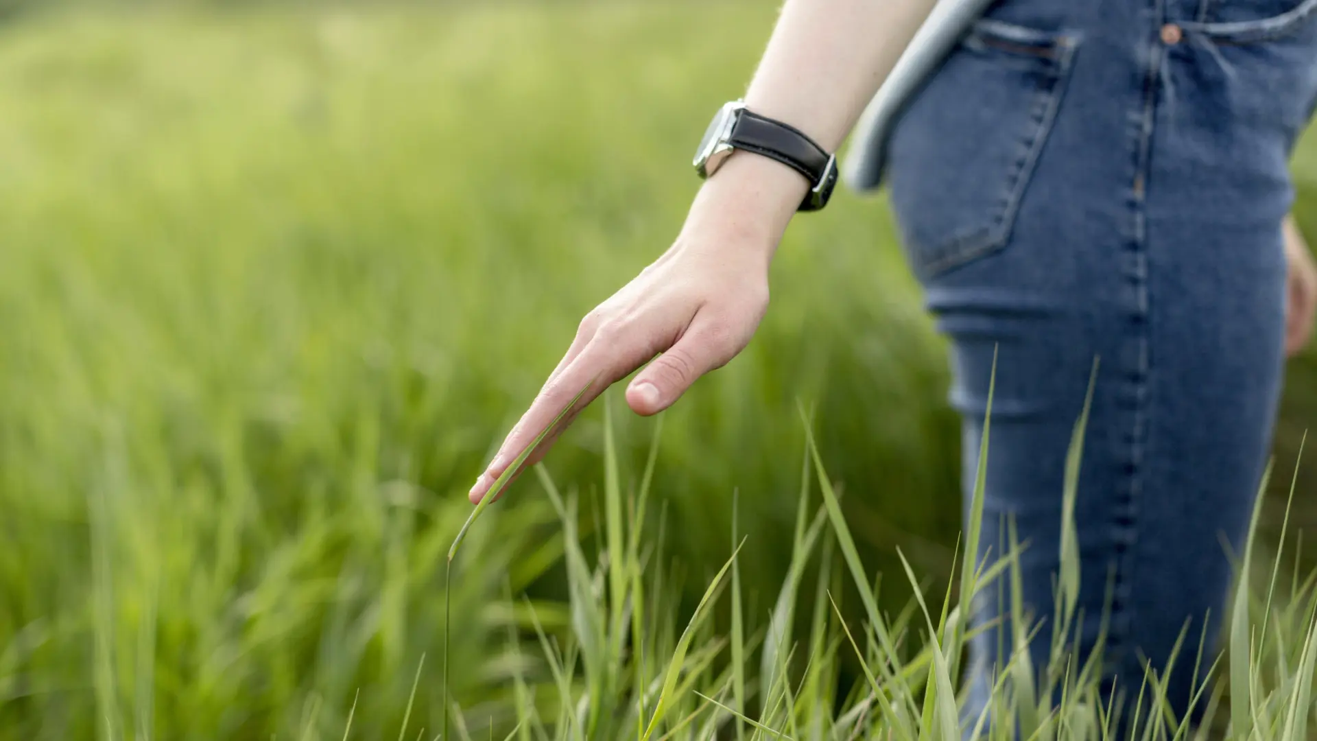 ¿Qué significa "tocar el césped" y por qué todo el mundo habla de este ...