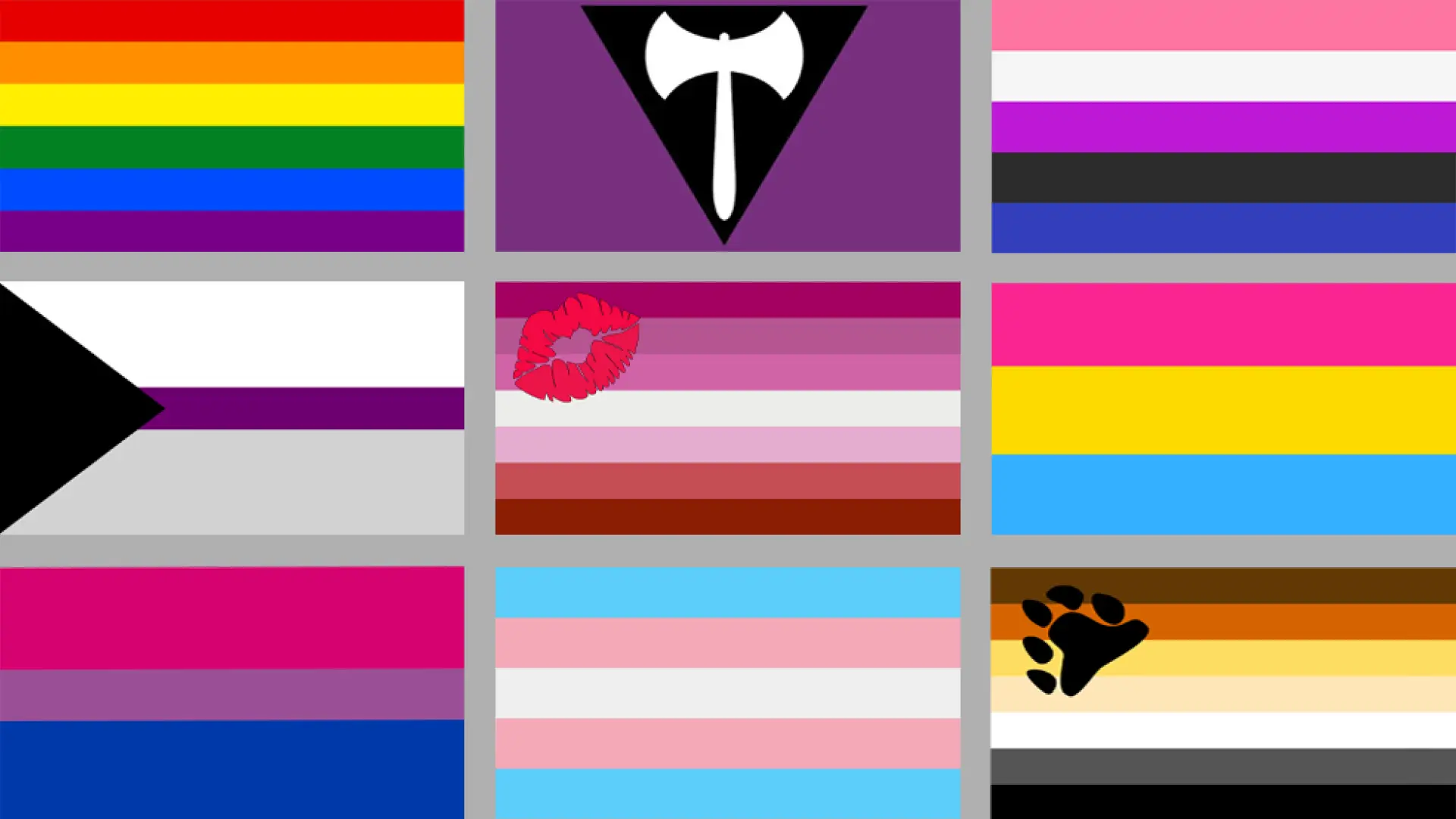 Queer, pansexual, no binario... Las banderas que representan las ...