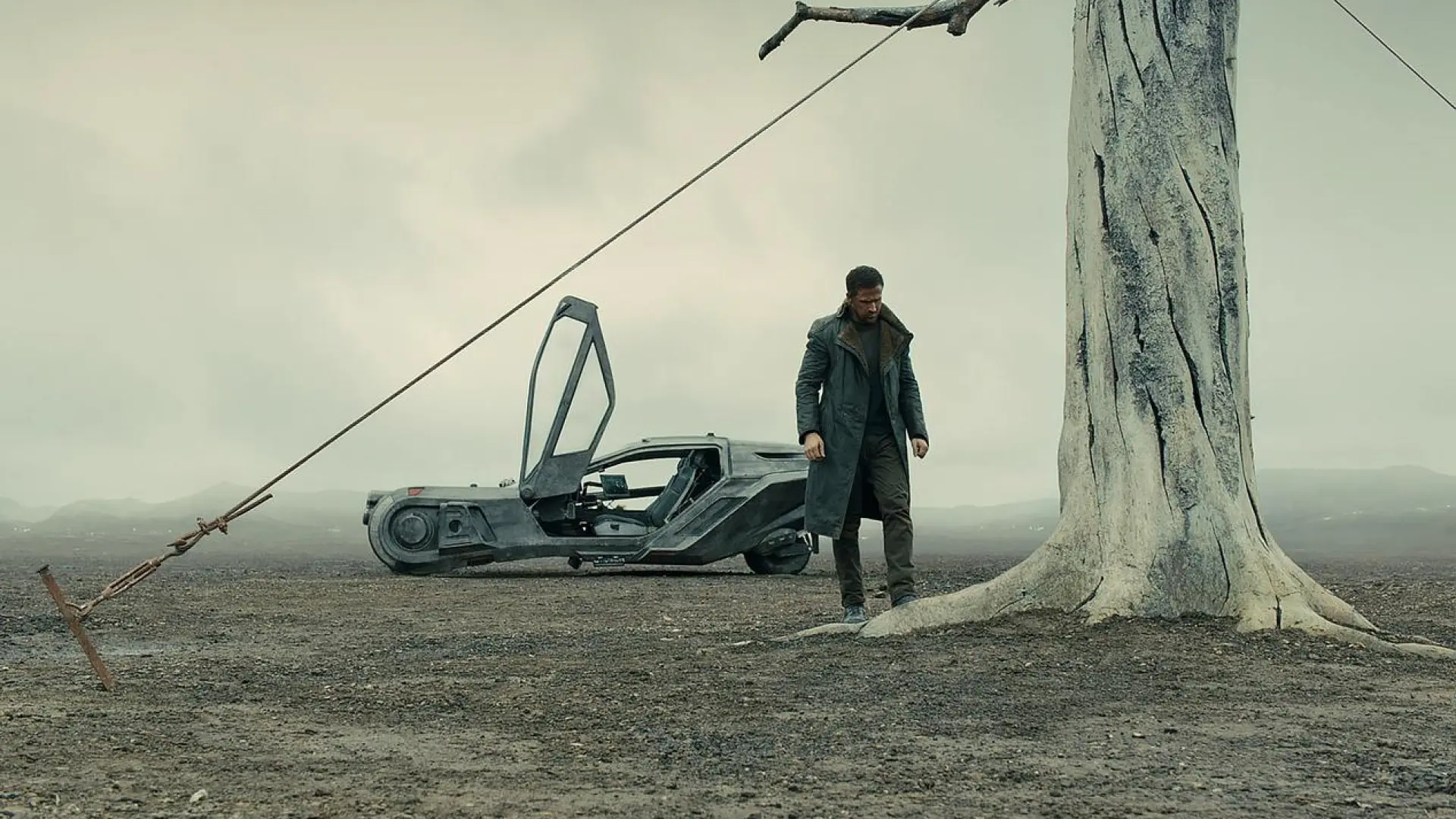 Nada de replicantes: esta localización de 'Blade Runner 2049' es real y ...