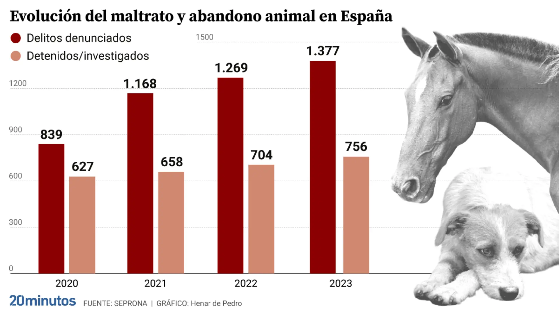 Estadísticas De Maltrato Animal 2024 Maltrato Y Abandono Animal: