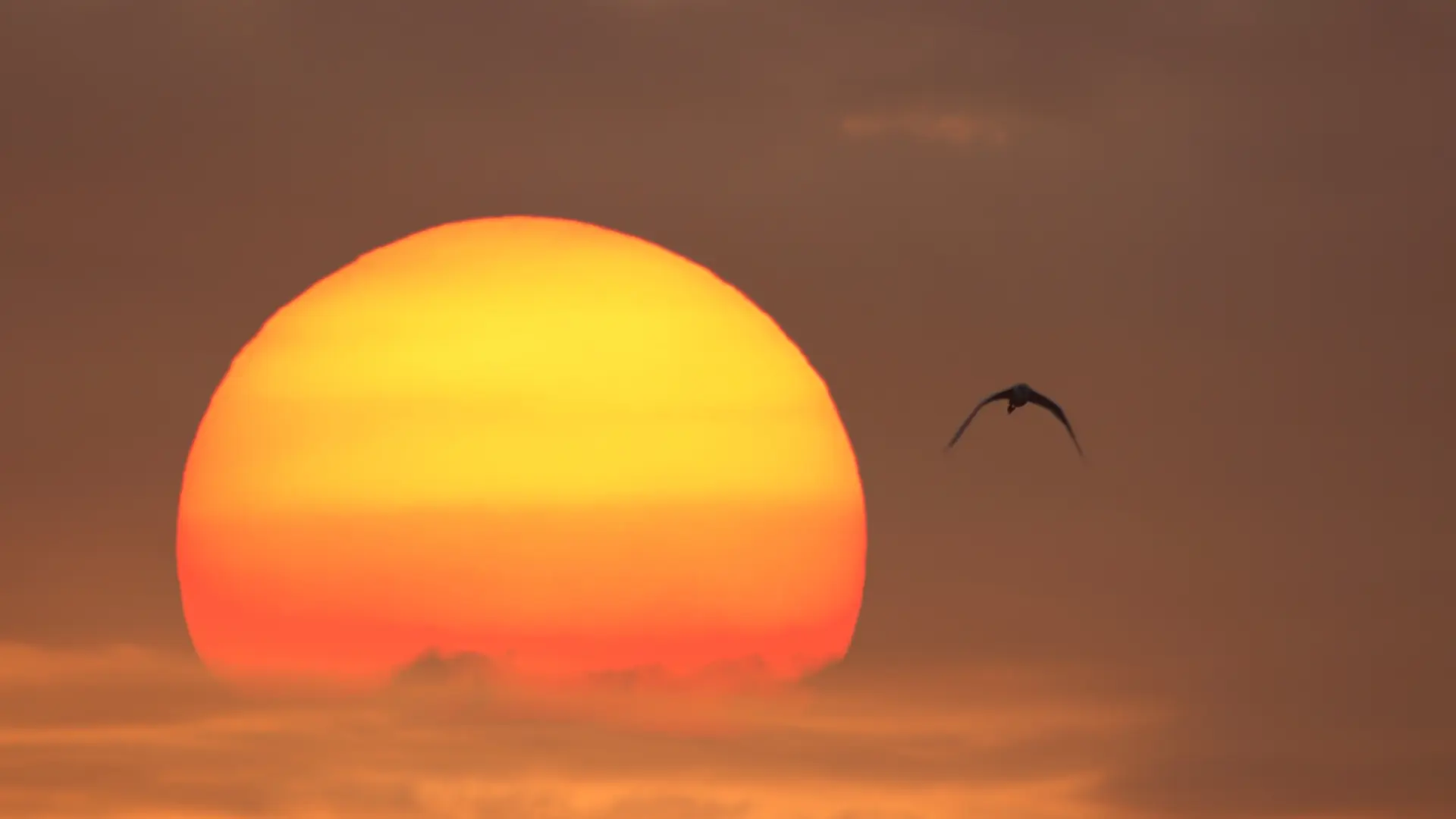 ¿Por qué el Sol parece más grande al amanecer y al atardecer? , por ...