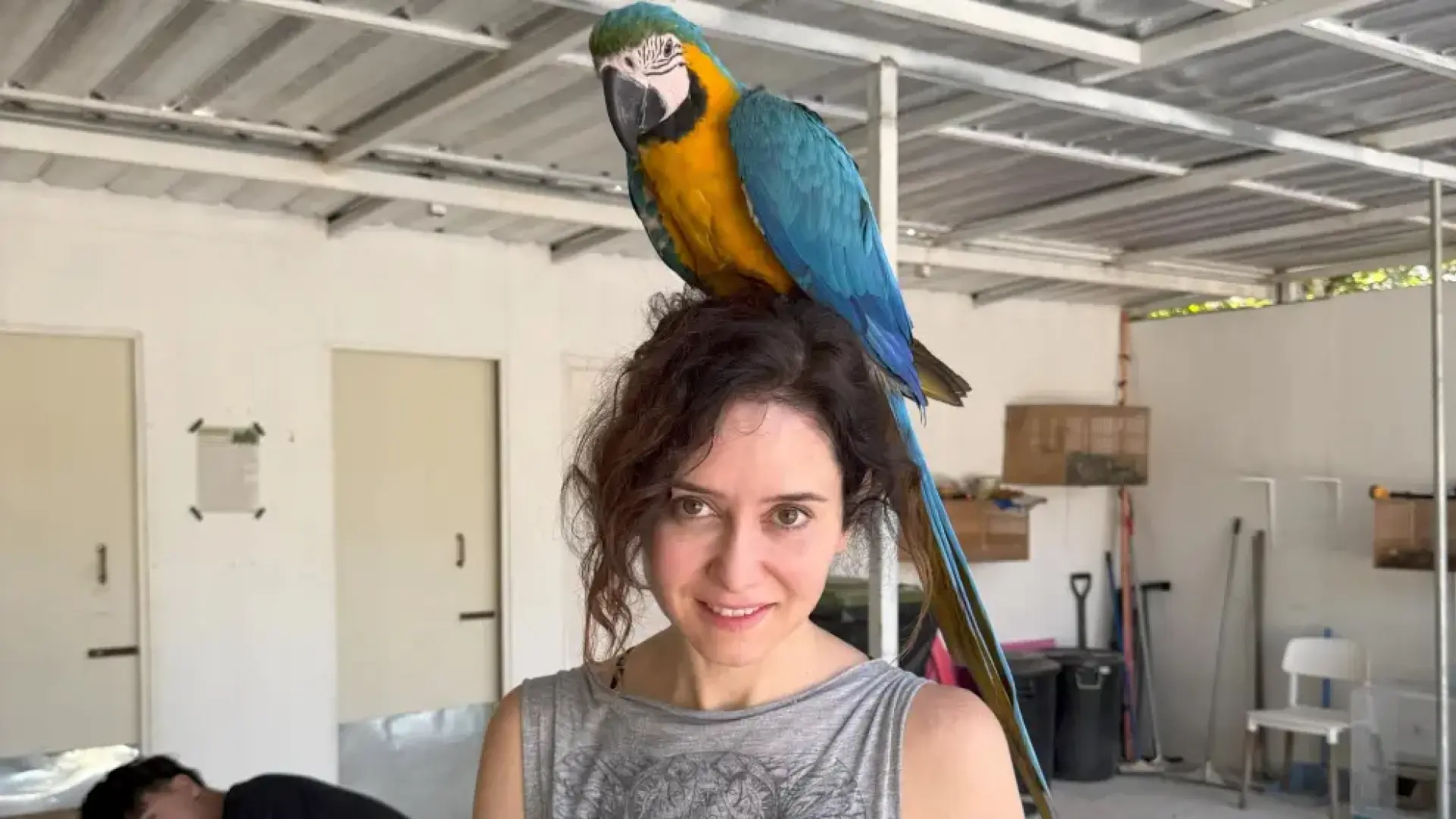 Frank Cuesta responde con dureza a la crítica del ministro Óscar Puente ...