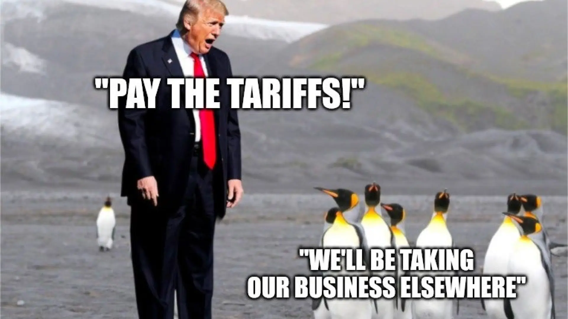 Los mejores memes sobre los aranceles de Donald Trump: "Los pingüinos ...