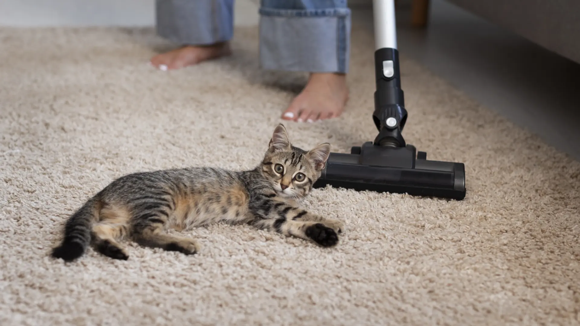 @natahrie onlyfans while that grin of satisfaction as the