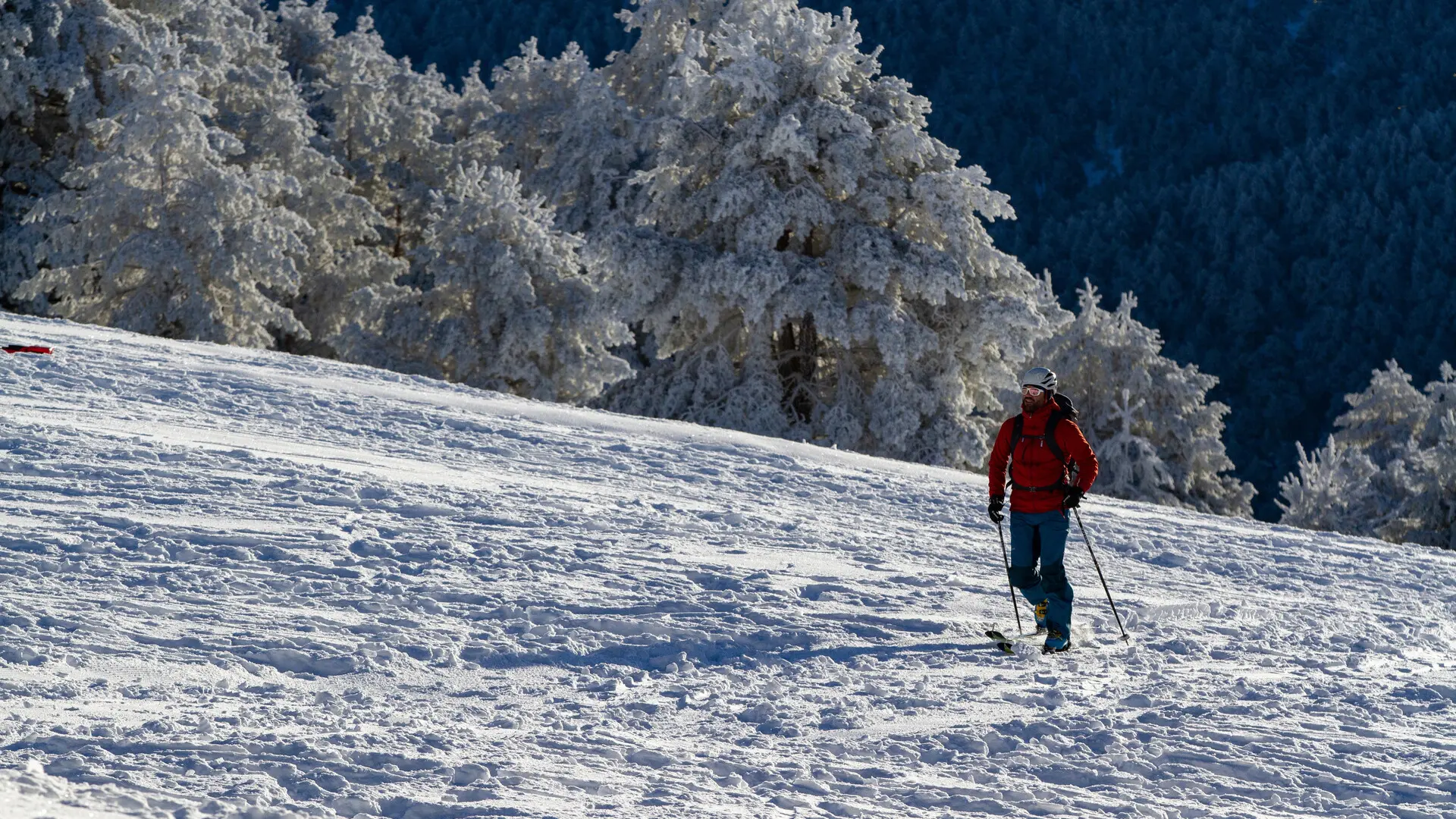 Vuelve la nieve a Madrid: a qué hora y en qué zonas nevará desde hoy y ...