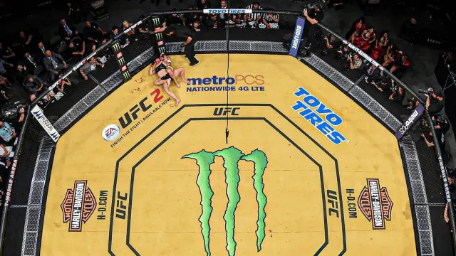 Cinco curiosidades sorprendentes de las jaulas de los combates de MMA