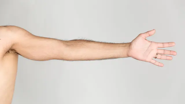 El músculo que está desapareciendo de los humanos debido a la evolución