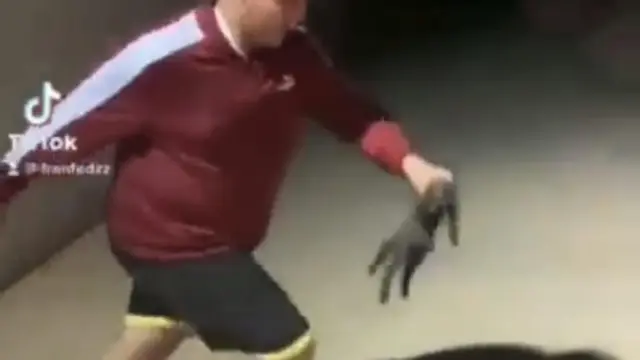 Investigan a un menor al que se le ve en un vídeo pateando a un gatito ...