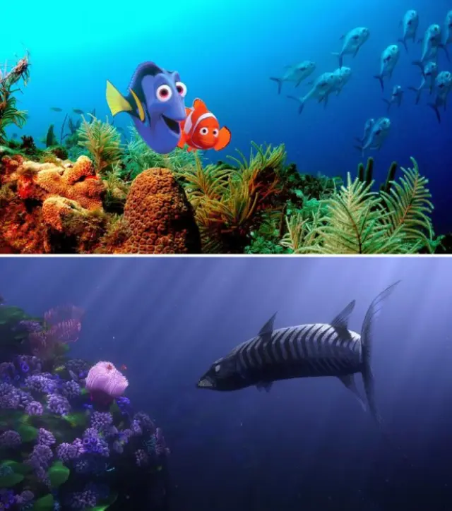 Hace ya 15 años de 'Buscando a Nemo'