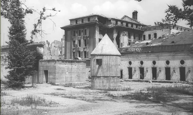 Se cumplen 80 años de la muerte de Hitler: así fueron los frenéticos ...