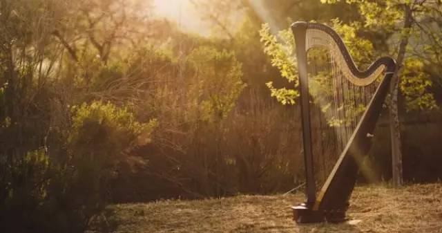 Visitamos una fábrica de arpas donde la madera de los árboles canta