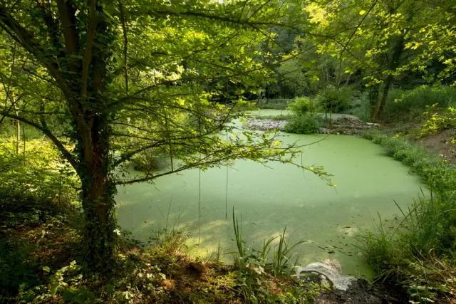 Proteger la naturaleza, reduciendo nuestro impacto en los ecosistemas