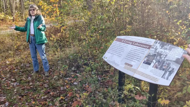 Pensilvania, el estado donde el comercio de la madera protege al mayor ...