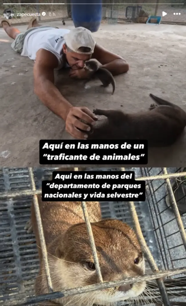 Todo sobre el arresto de Frank Cuesta por la presunta posesión ilegal ...