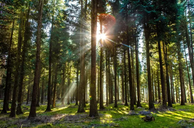 GrupoRadioLaVidaesOcio: Canal Viajar : La sencilla ruta de senderismo ...