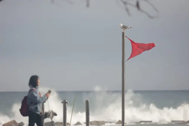 Barcelona activa la alerta del plan básico de emergencias municipal por ...