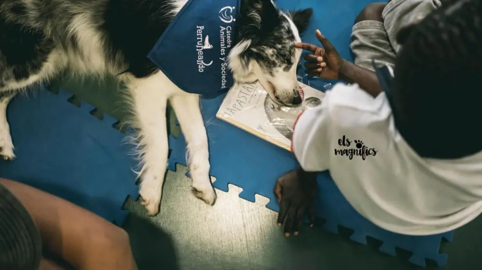 La selección y preparación de un perro de terapia: "La mayor parte de ...