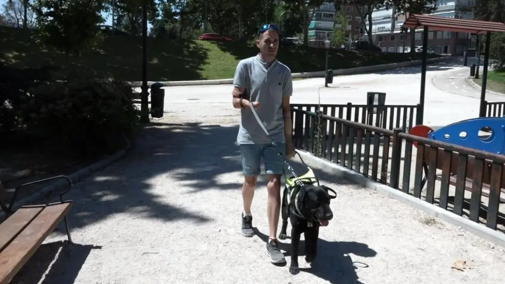 Vídeo: Conoce a Xabat, el primer perro guía del mundo en asistir a un ...