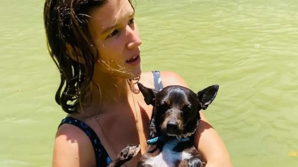 La pesadilla de una joven que perdió a su perrita después de que la ...