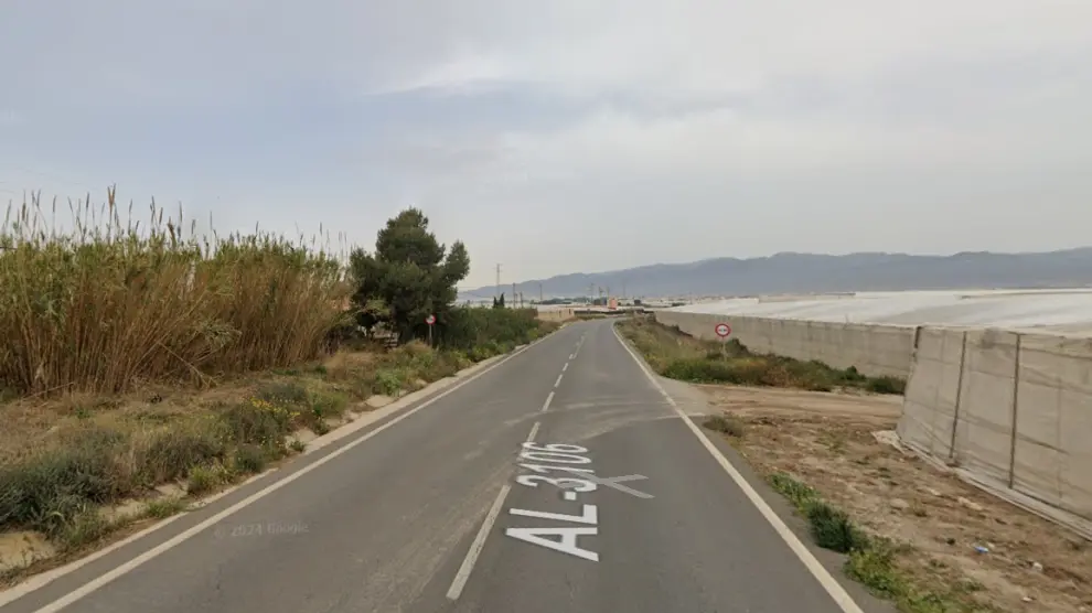 Muere atropellado un hombre de 76 años por un camión en la carretera AL ...