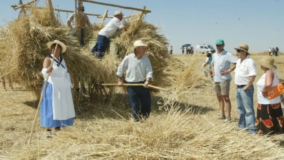 Castrillo de Villavega recupera los mejor de la tradicional trilla