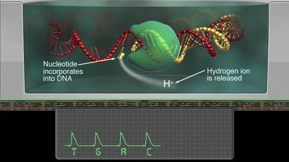 Ion Torrent's Personal Genome Machine, la democratización de genoma ...