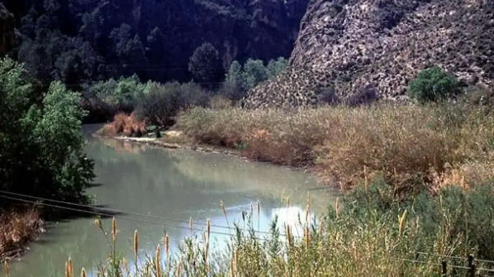 La Comunidad difunde los valores naturales de la Región para fomentar ...