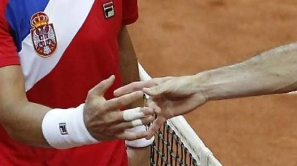 Tipsarevic y Radek Stepanek protagonizan un epílogo conflictivo en la ...