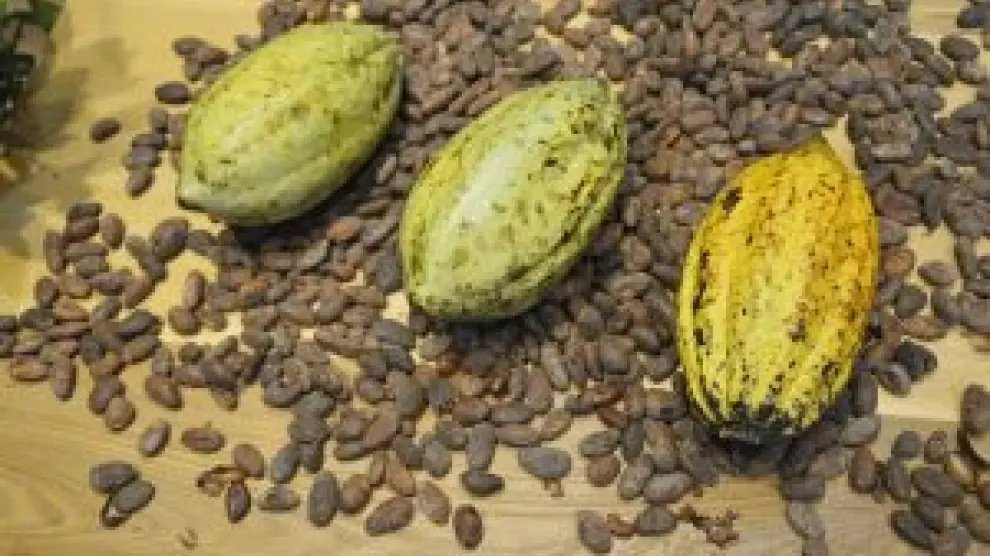 De los indígenas olmecas a las tropas aliadas en la II GM: historia del ...