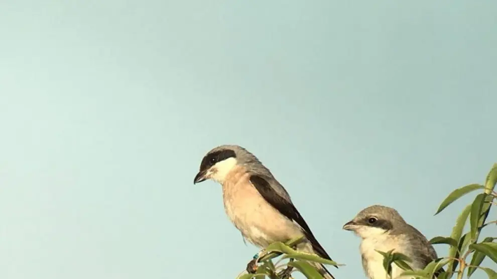 Catalunya se mantiene como el único lugar de la península con ...