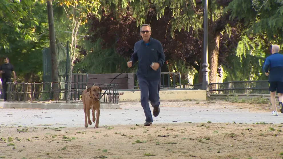 Vídeo: El madrileño Parque de Berlín recibe algunos vecinos