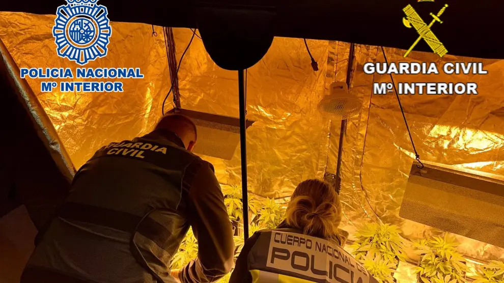 Cuatro detenidos por cultivo de marihuana en una casa de lujo okupa propiedad de un banco