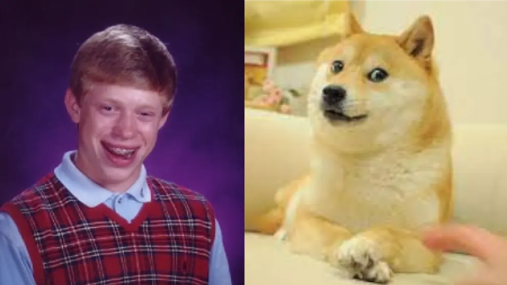 «Bad Luck Brian» y Doge: cuando dos memes se conocen, internet se ...