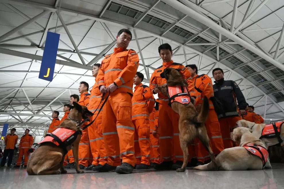 Fotos: Perros de rescate de todo el mundo acuden a Turquía, así es cómo ...