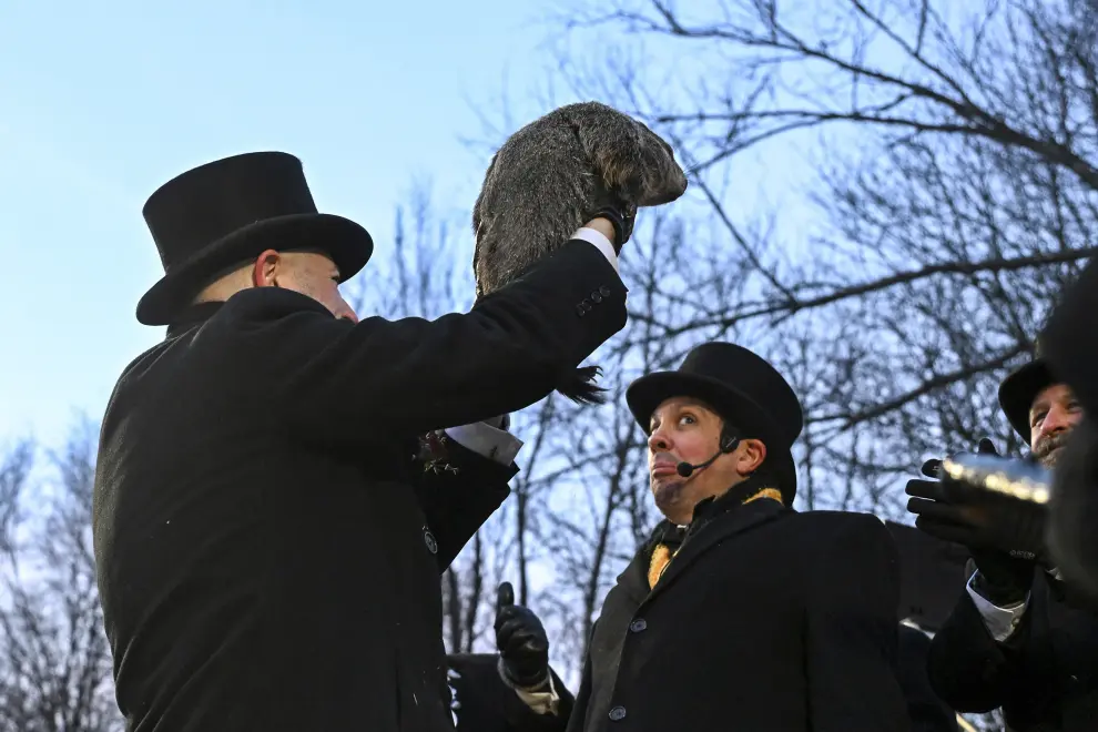 Fotos: Día de la marmota: las mejores imágenes de Phil y su predicción ...