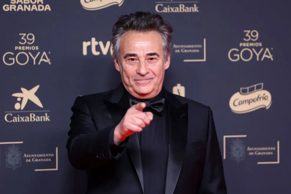 Fotos: Alfombra roja de los Premios Goya 2025: las fotos más ...