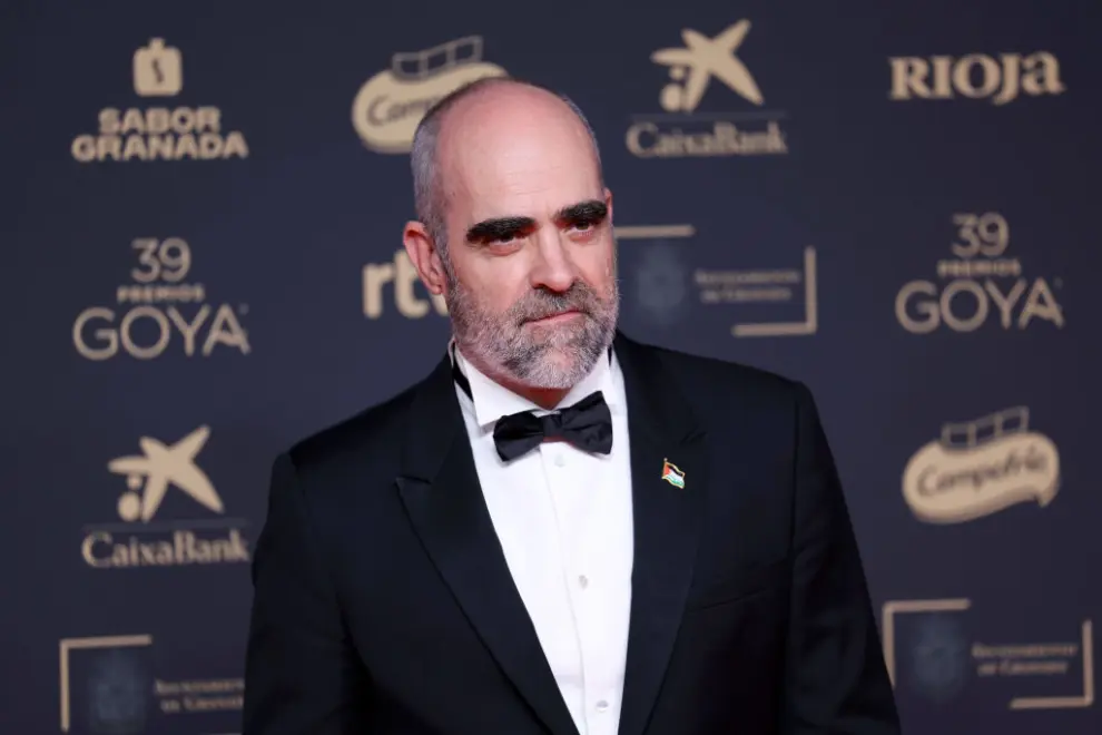 Fotos: Alfombra roja de los Premios Goya 2025: las fotos más ...