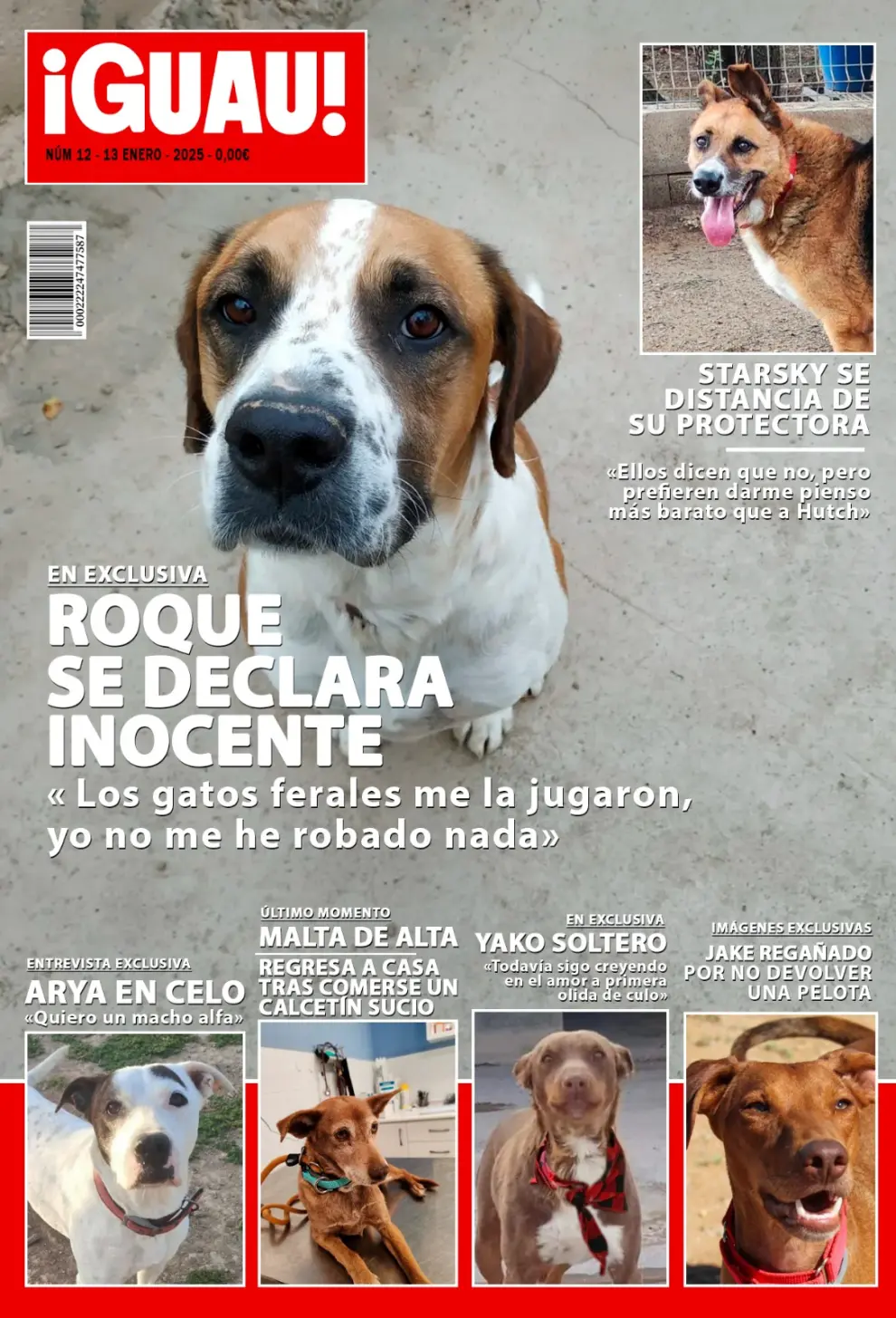 Fotos: Perros en adopción se vuelven protagonistas del corazón gracias ...