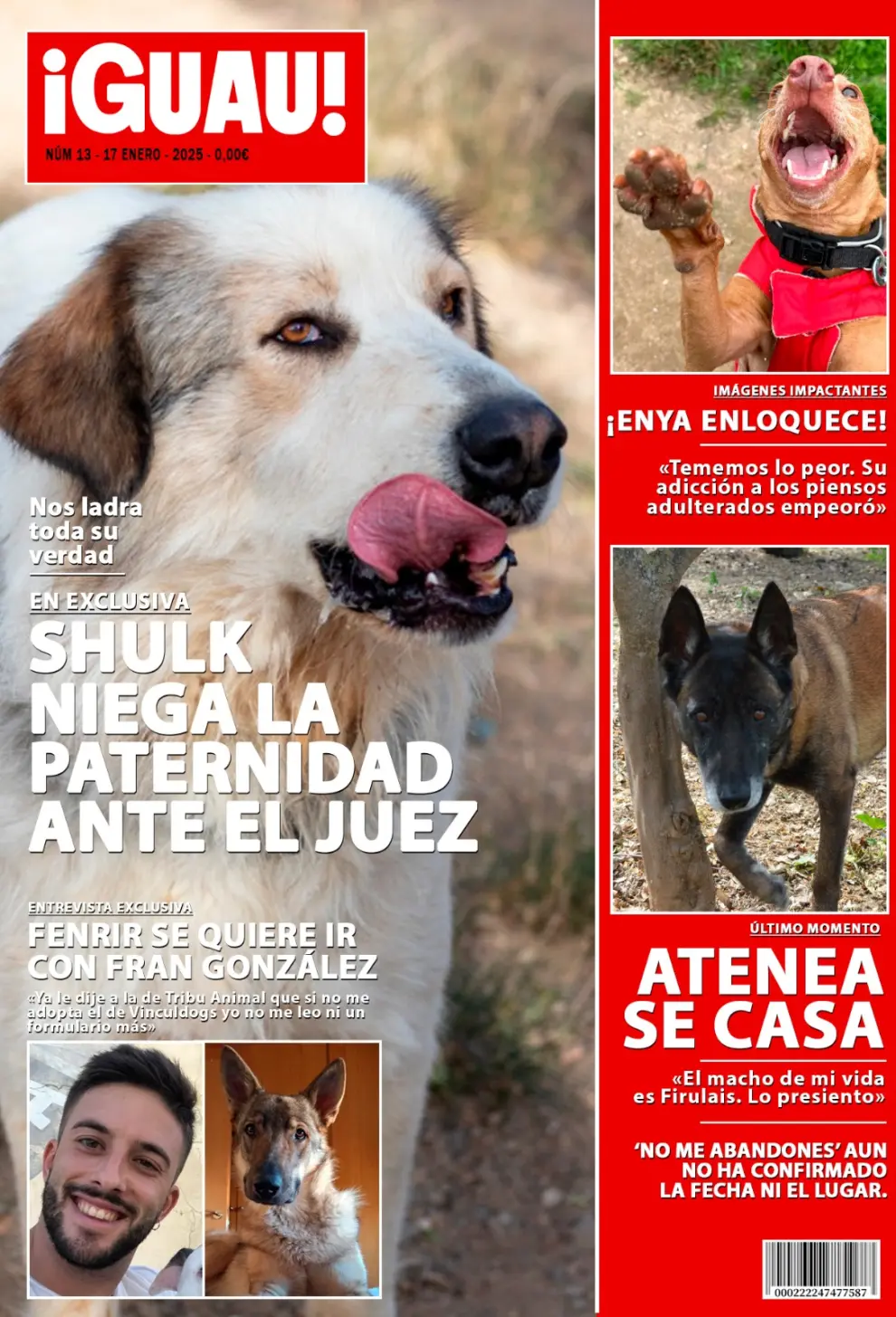 Fotos: Perros en adopción se vuelven protagonistas del corazón gracias ...