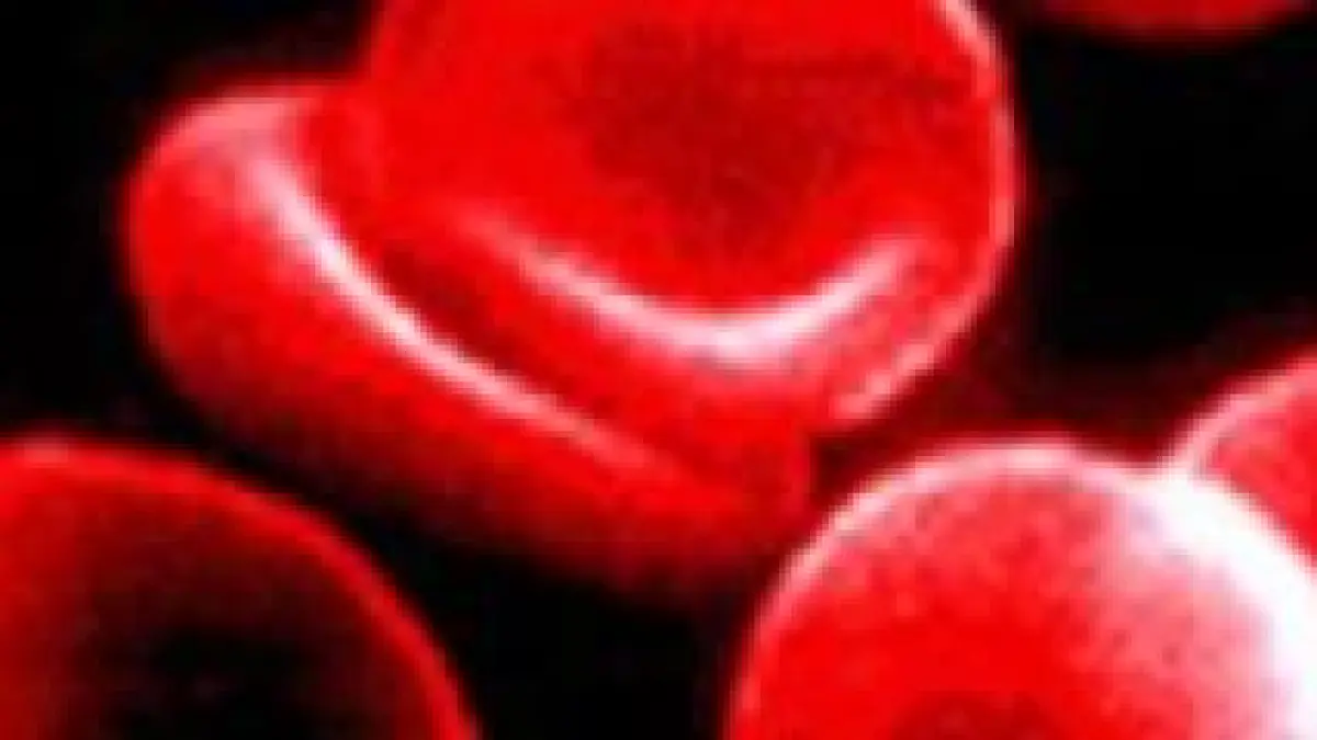Descubren la clave del proceso de producción de los glóbulos rojos