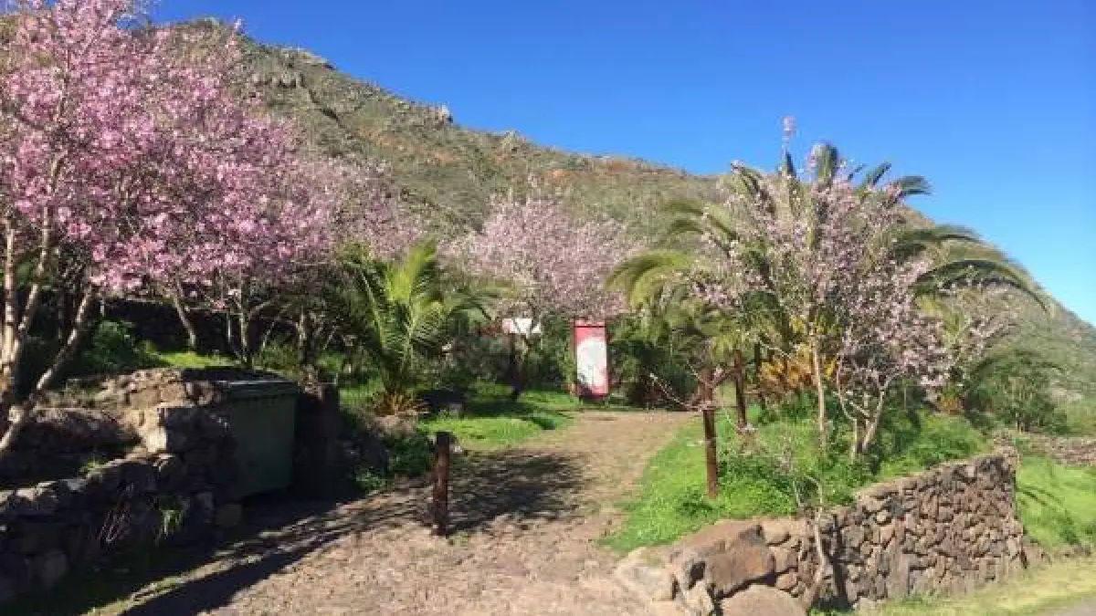 Abren dos senderos autoguiados en Buenavista (Tenerife)