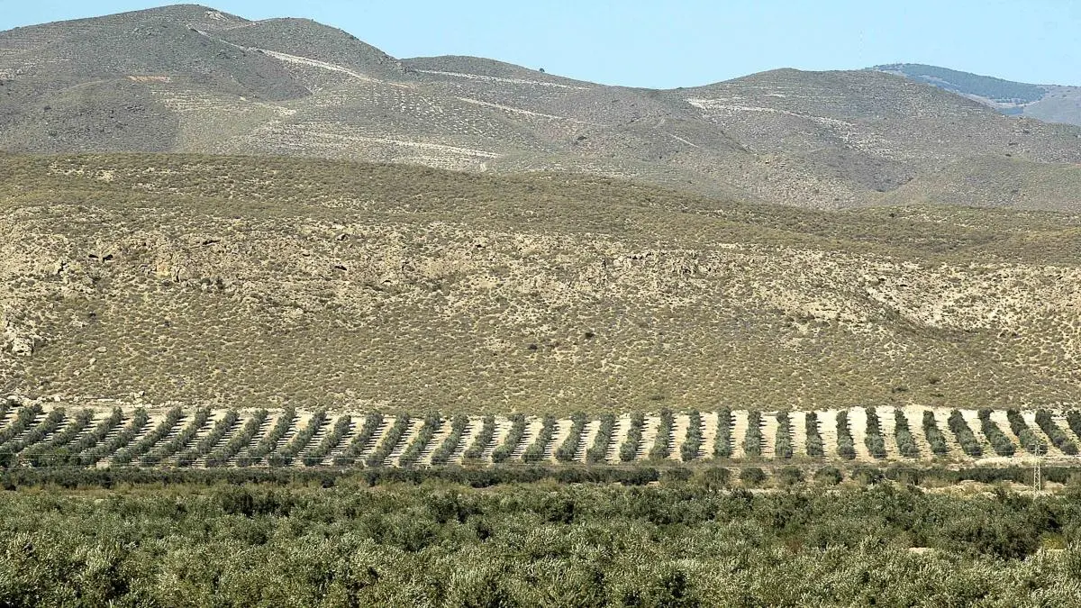 Mount Hallen, una montaña privada que se encuentra en venta